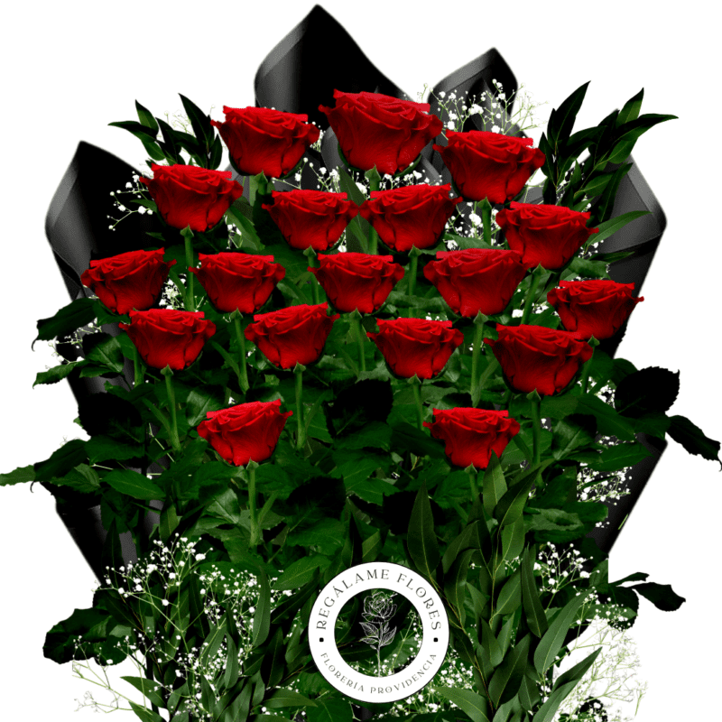 Ramo Premium De 18 Rosas Rojas • Regálame Flores